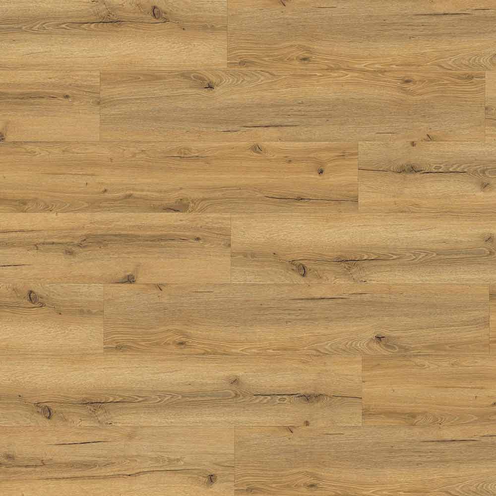 Klick-Vinylboden, Solid Core X-Cellent, Eiche Erica, Barth-Bodencouture ...