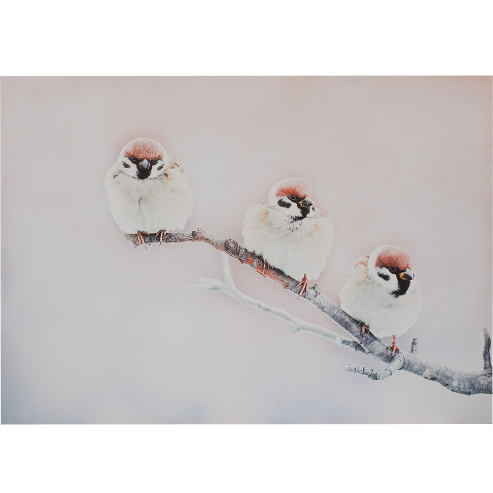 Bild Spatzen | Bilder | Wanddeko | Deko | Knutzen Wohnen
